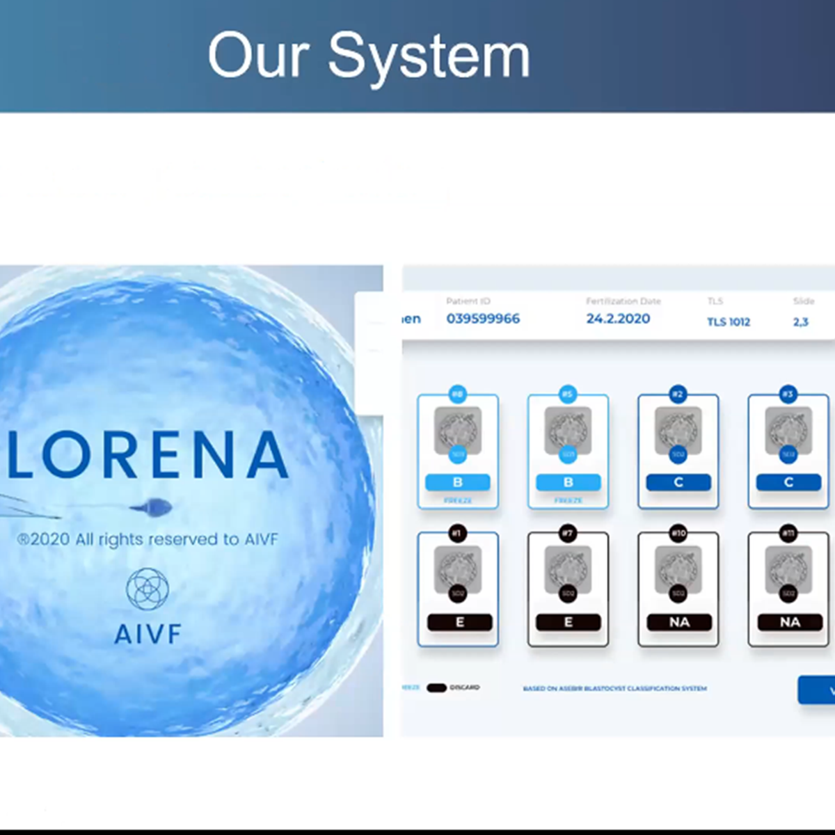 Understanding Embryology with Deep Learning / Machine Learning ...