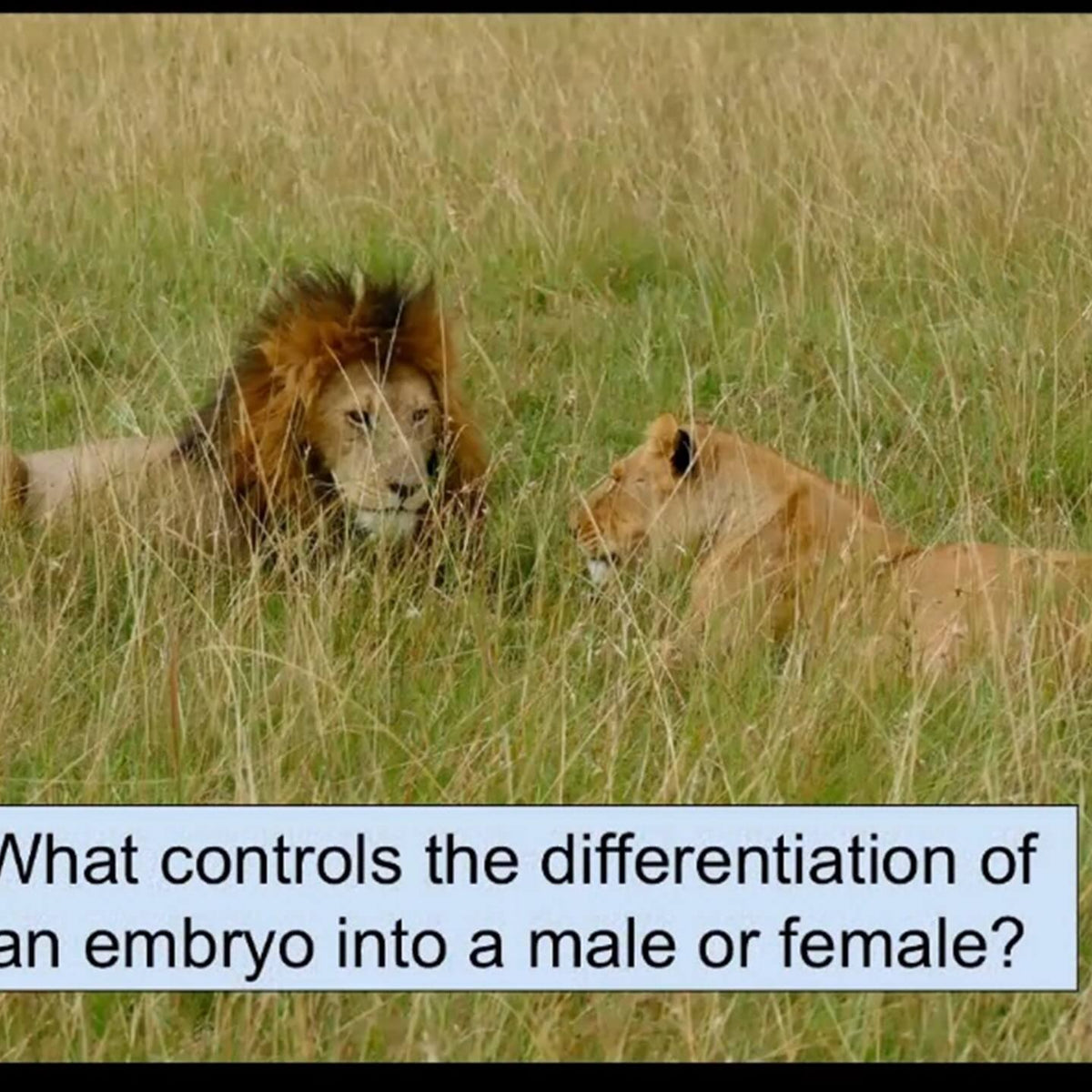 A Spectrum of Reproductive Phenotypes Across Vertebrate Species ...